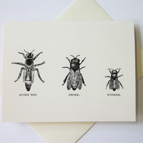 Bee Note Cards - Etsy