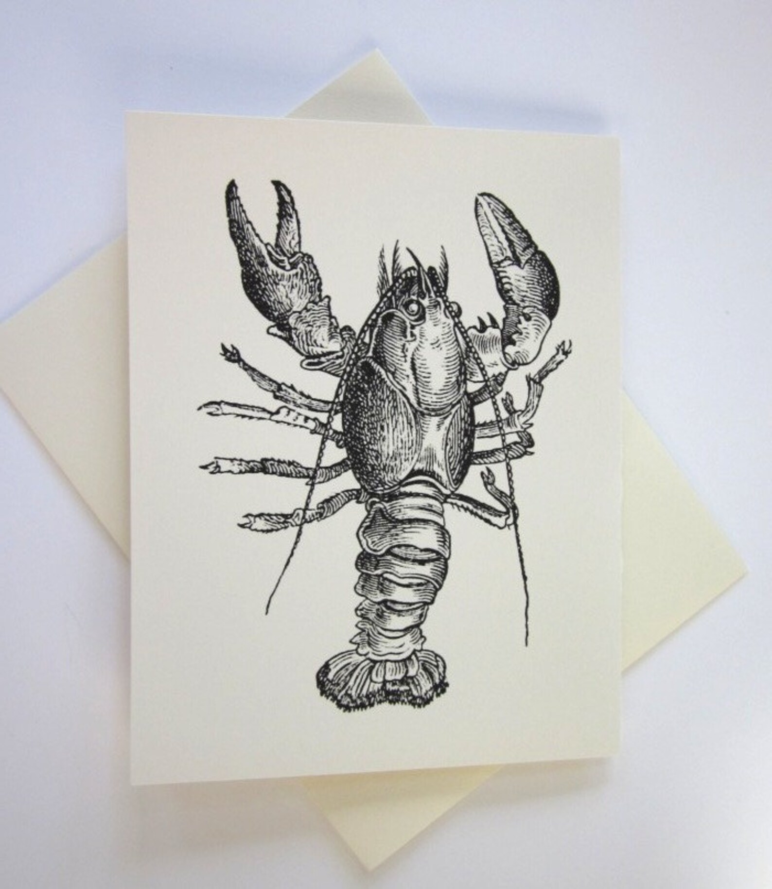 Lobster Note Cards Set of 10 With Matching Envelopes - Etsy