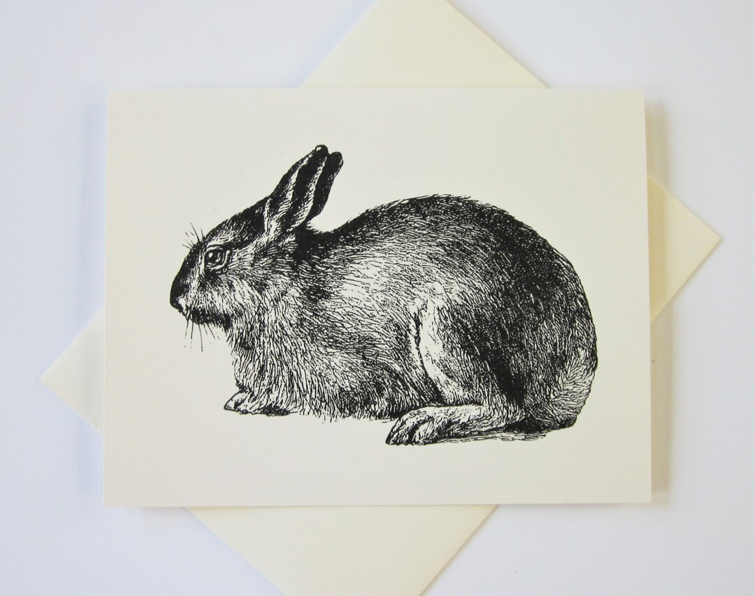 Rabbit Note Cards Set of 10 With Matching Envelopes - Etsy