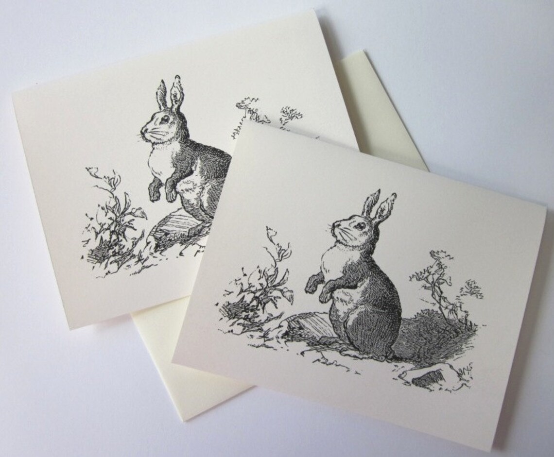 Rabbit Bunny Note Cards Stationery Set of 10 Cards in White or - Etsy