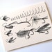 Fly Fishing Note Cards Set of 10 With Matching Envelopes - Etsy