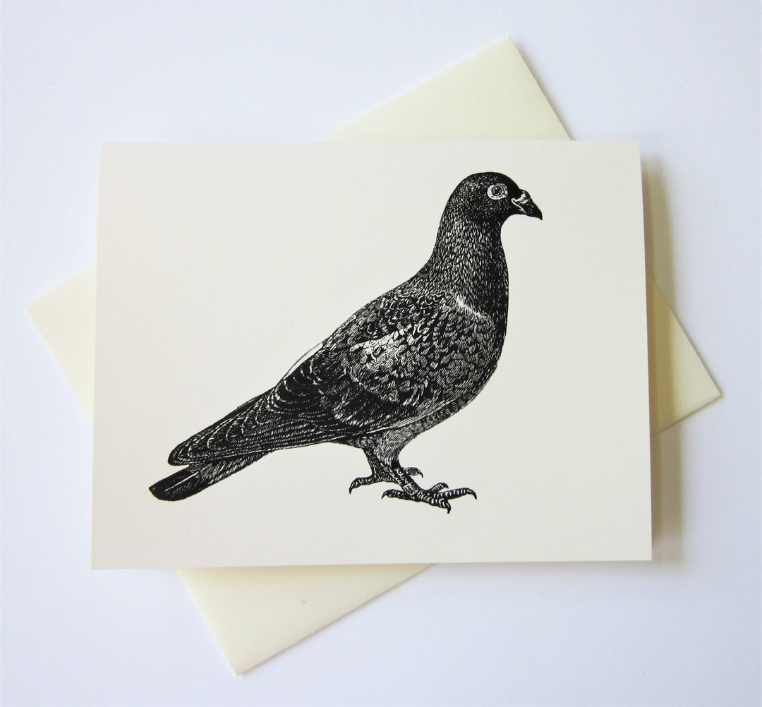 Pigeon Bird Note Card Set of 10 in White or Light Ivory With Matching ...