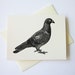 Pigeon Bird Note Card Set of 10 in White or Light Ivory With Matching ...
