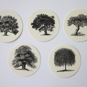 Tree Tags Round Gift Tags Set of 10 Five Tree Images - Etsy