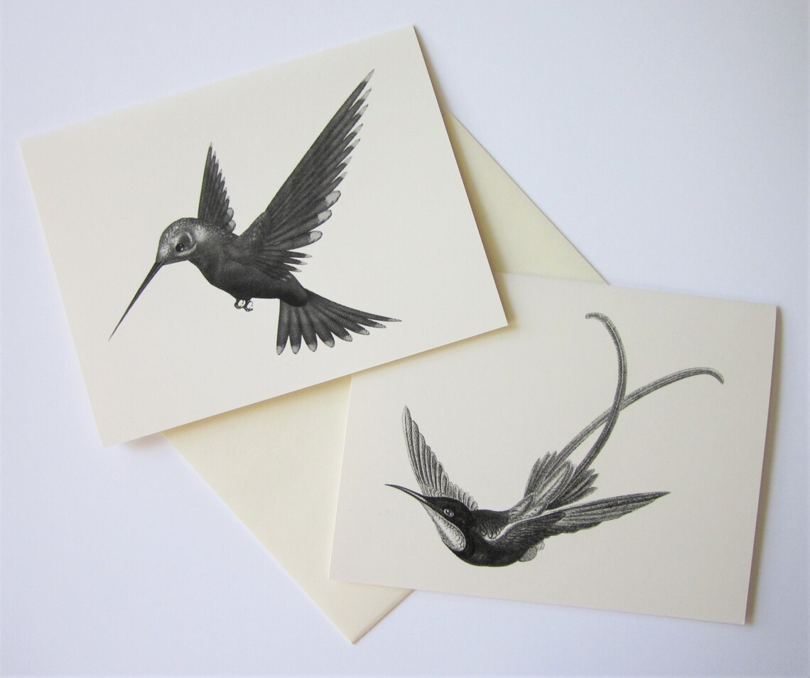 Hummingbird Note Cards Set of 10 With Matching Envelopes - Etsy