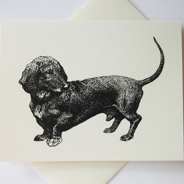 Dachshund Note Card - Etsy
