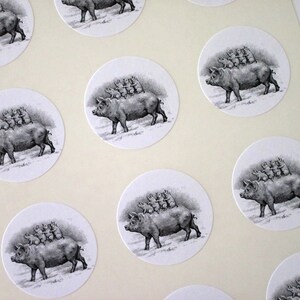 Pig and Piglets Tags Round Paper Gift Tags Set of 10 - Etsy