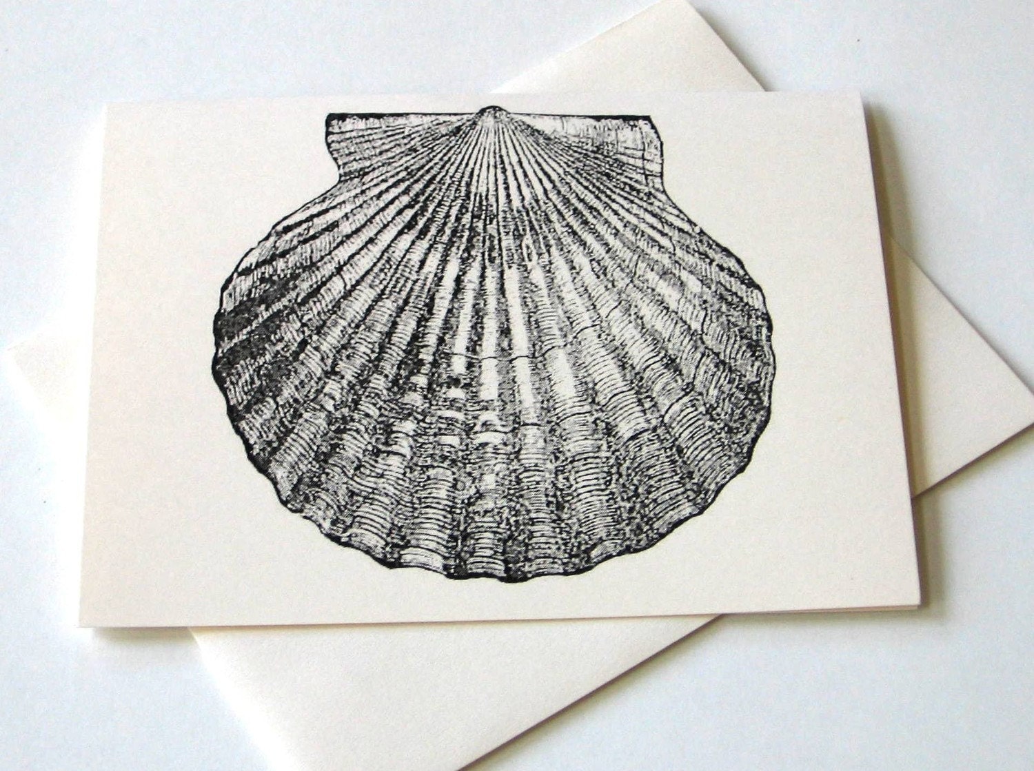 Scalloped Shell Note Cards Stationery Set of 4 Cards in White or Light ...