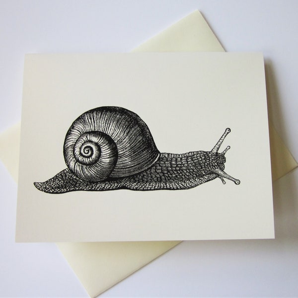 Snail Card - Etsy