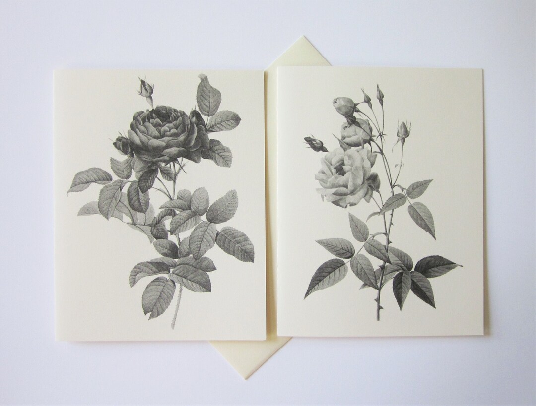 Rose Flower Floral Note Cards Stationery Set of 10 Cards in White or ...