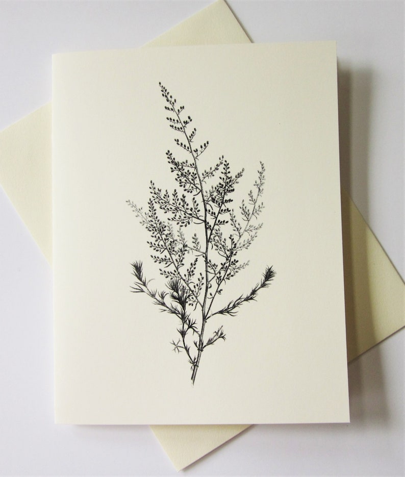 Botanical Branch Note Cards Set of 12 With Matching Envelopes - Etsy Canada