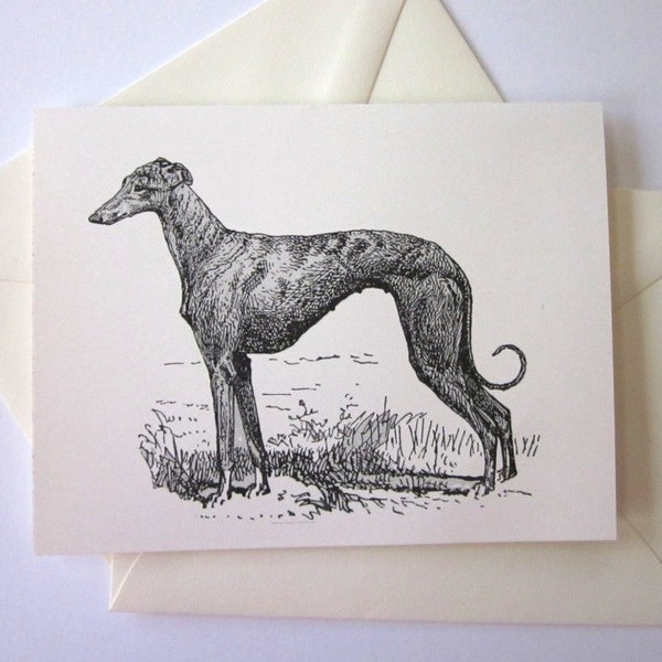 Greyhound Note Cards - Etsy