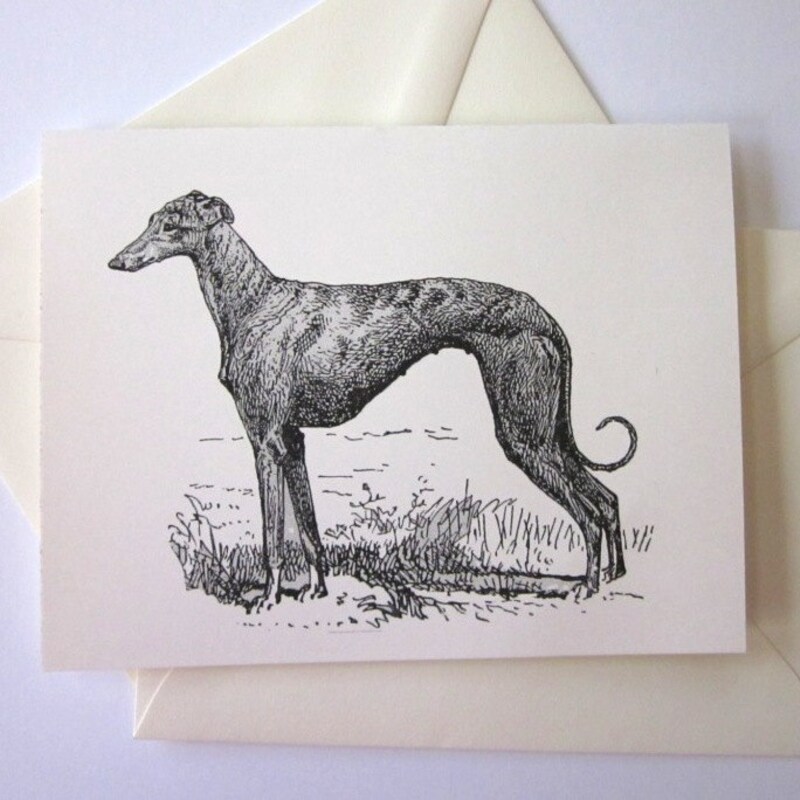 Greyhound Christmas Cards - Etsy