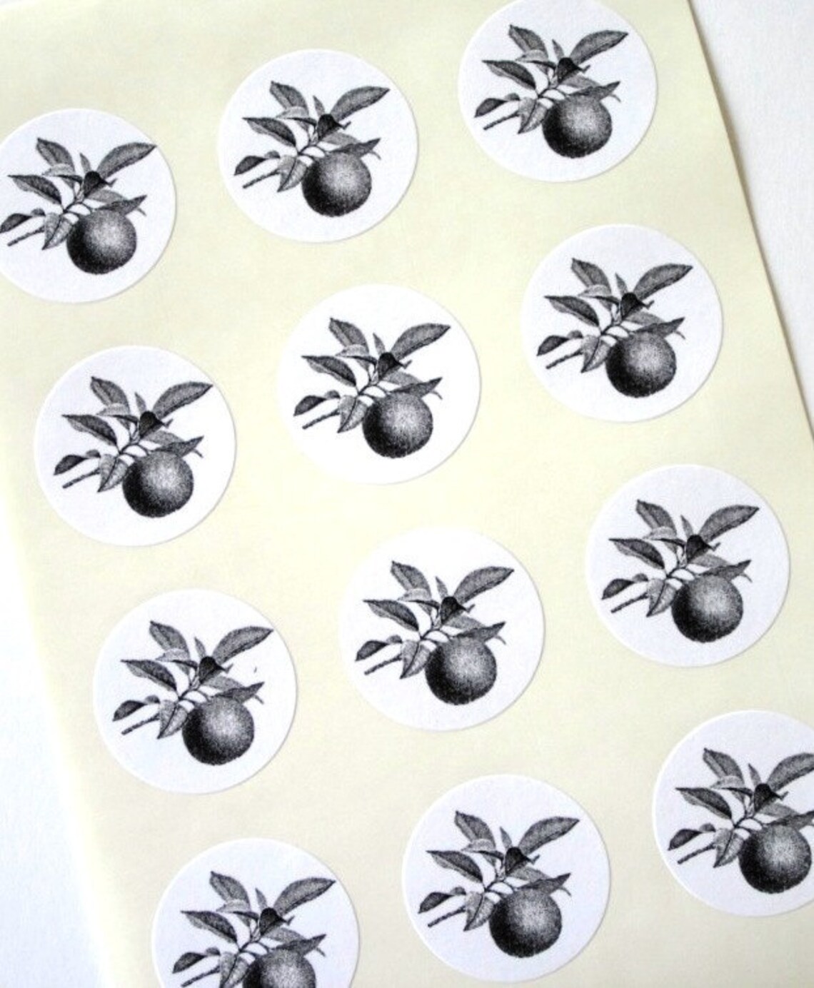 Orange Fruit Stickers One Inch Round Seals - Etsy