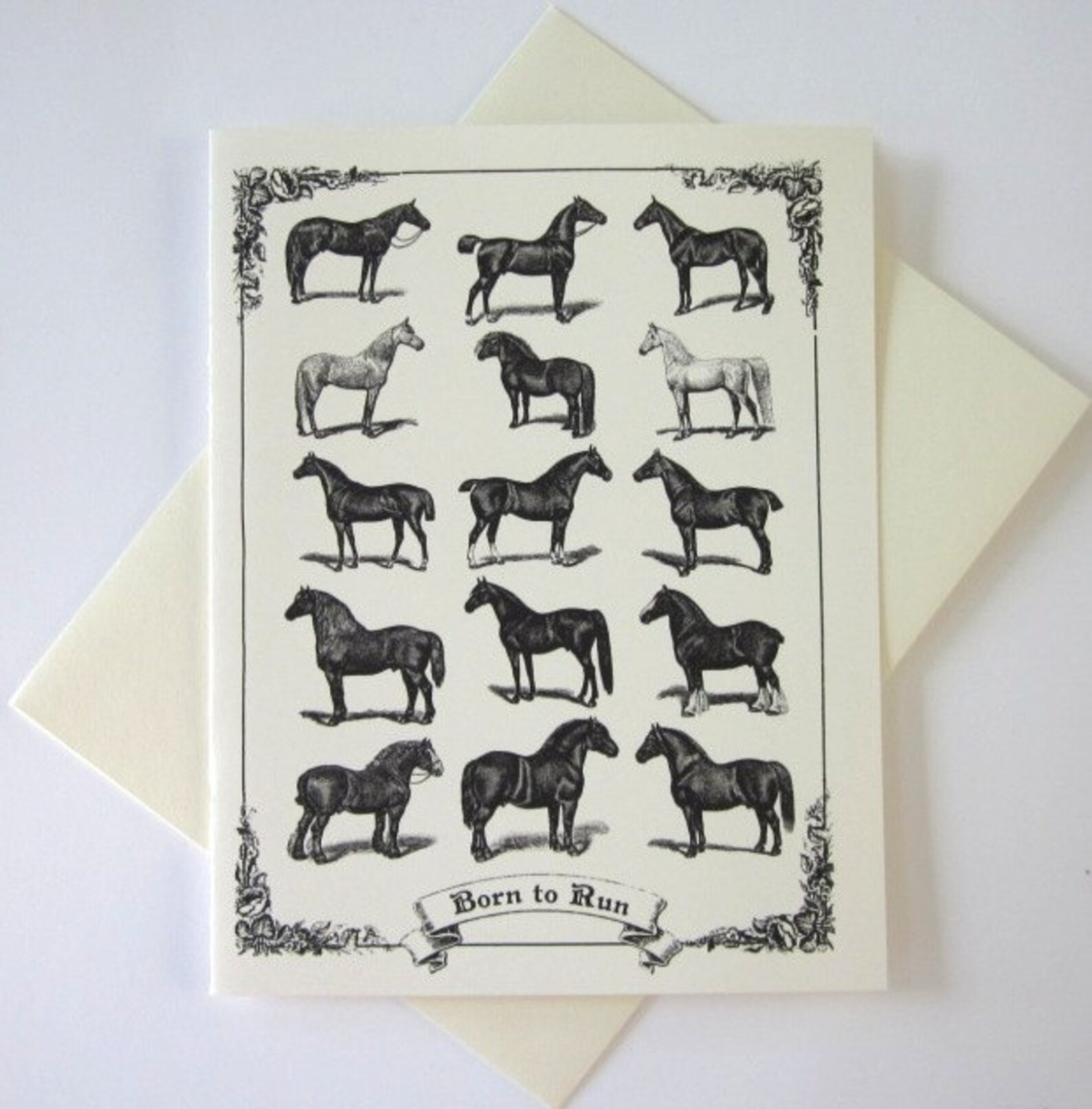 Horse Cards Set of 10 in White or Light Ivory With Matching - Etsy