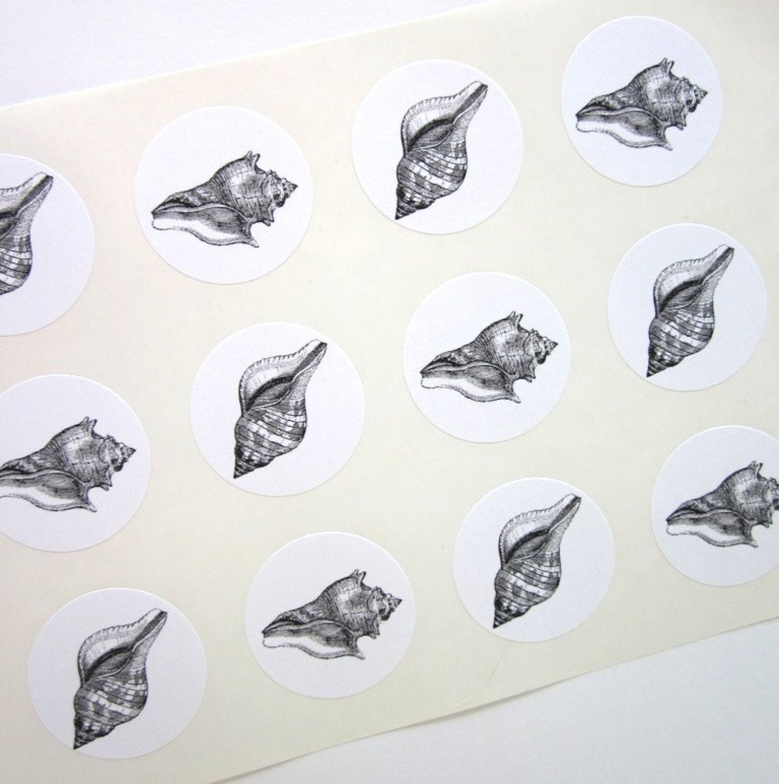 Conch Shell Stickers One Inch Round Seals - Etsy