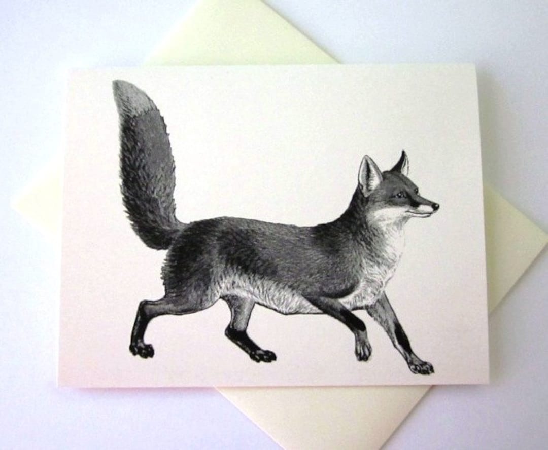 Fox Note Card Set of 10 in White or Light Ivory With Matching Envelopes ...