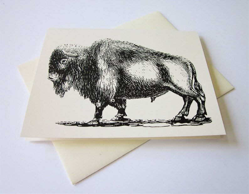 Bison Cards Set of 10 in White or Light Ivory With Matching | Etsy
