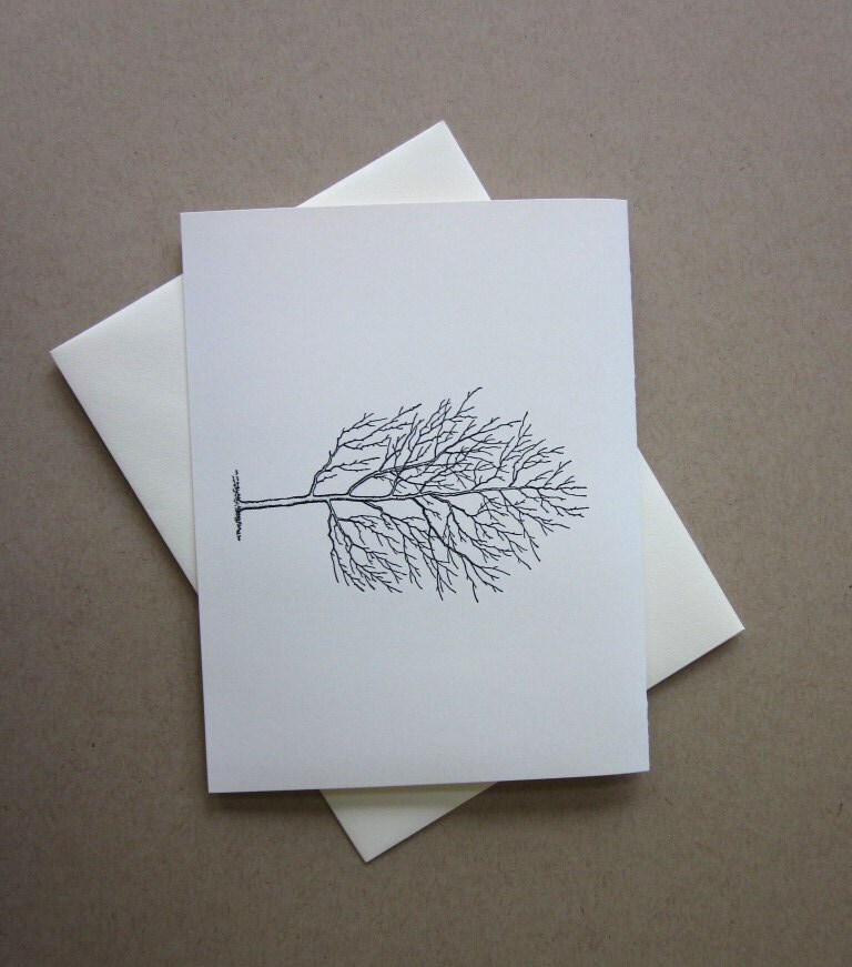 Winter Trees Note Cards Stationery Set of 10 Cards in White or - Etsy