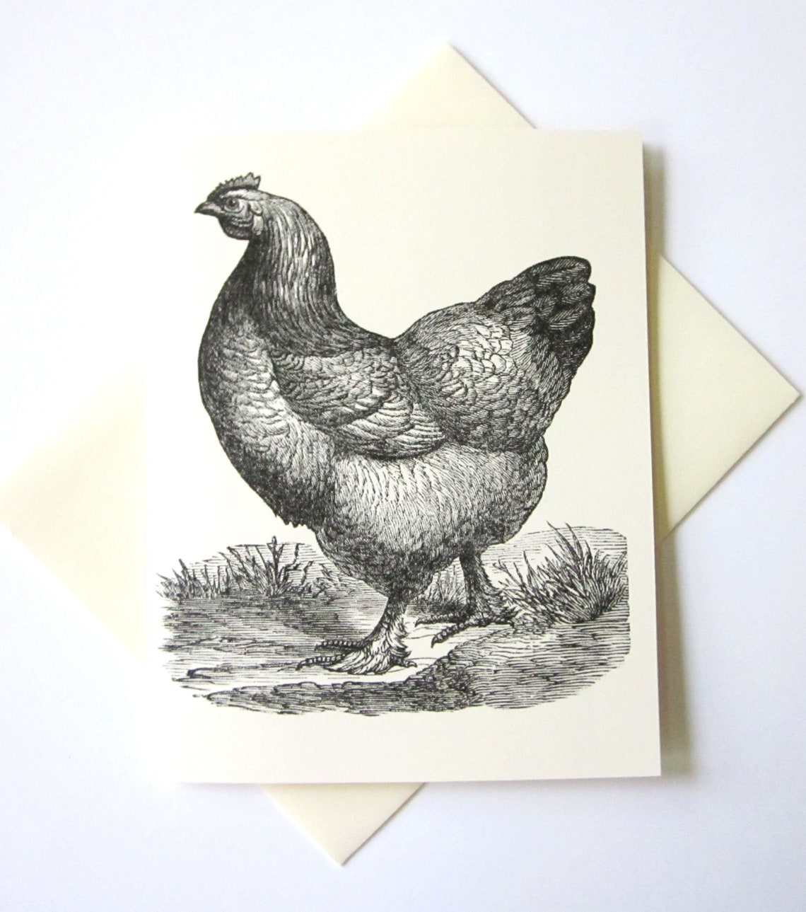 Chicken Rooster Note Cards Stationery Set of 10 Cards in White or Light ...