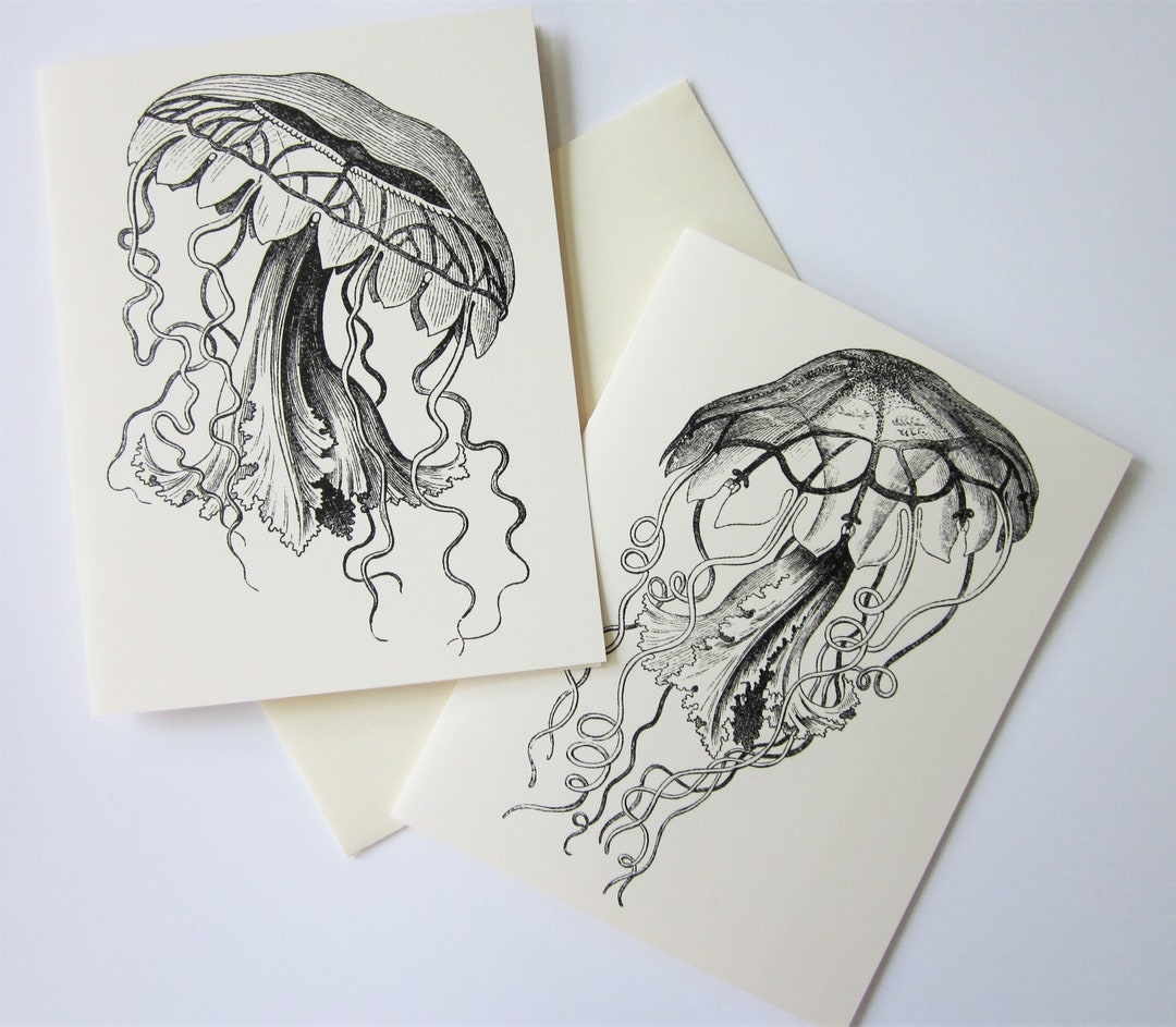 Jellyfish Note Cards Set of 12 With Matching Envelopes - Etsy