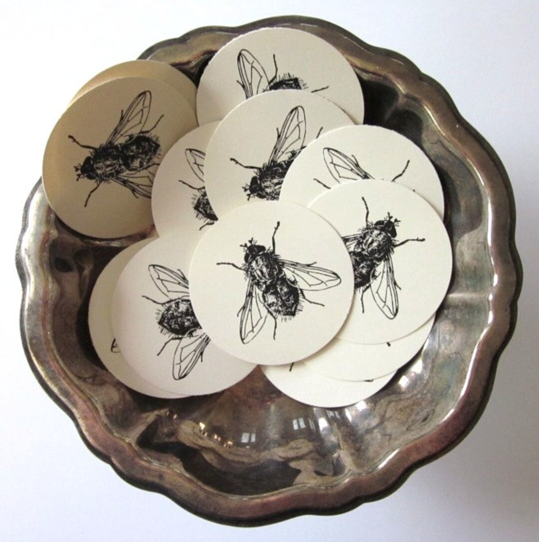 Fly Insect Tags Round Paper Gift Tags Set of 10 - Etsy