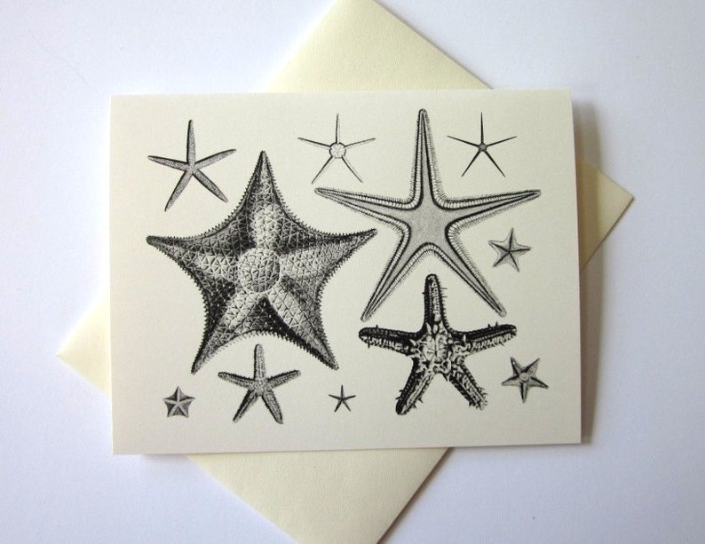 Starfish Stationery Note Cards Set of 10 With Matching | Etsy