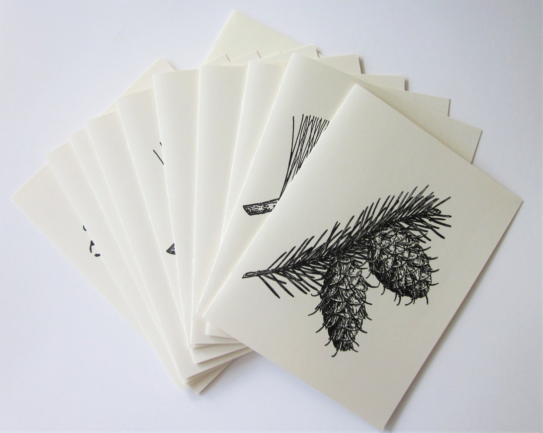 Pinecone Note Cards Set of 10 With Matching Envelopes - Etsy