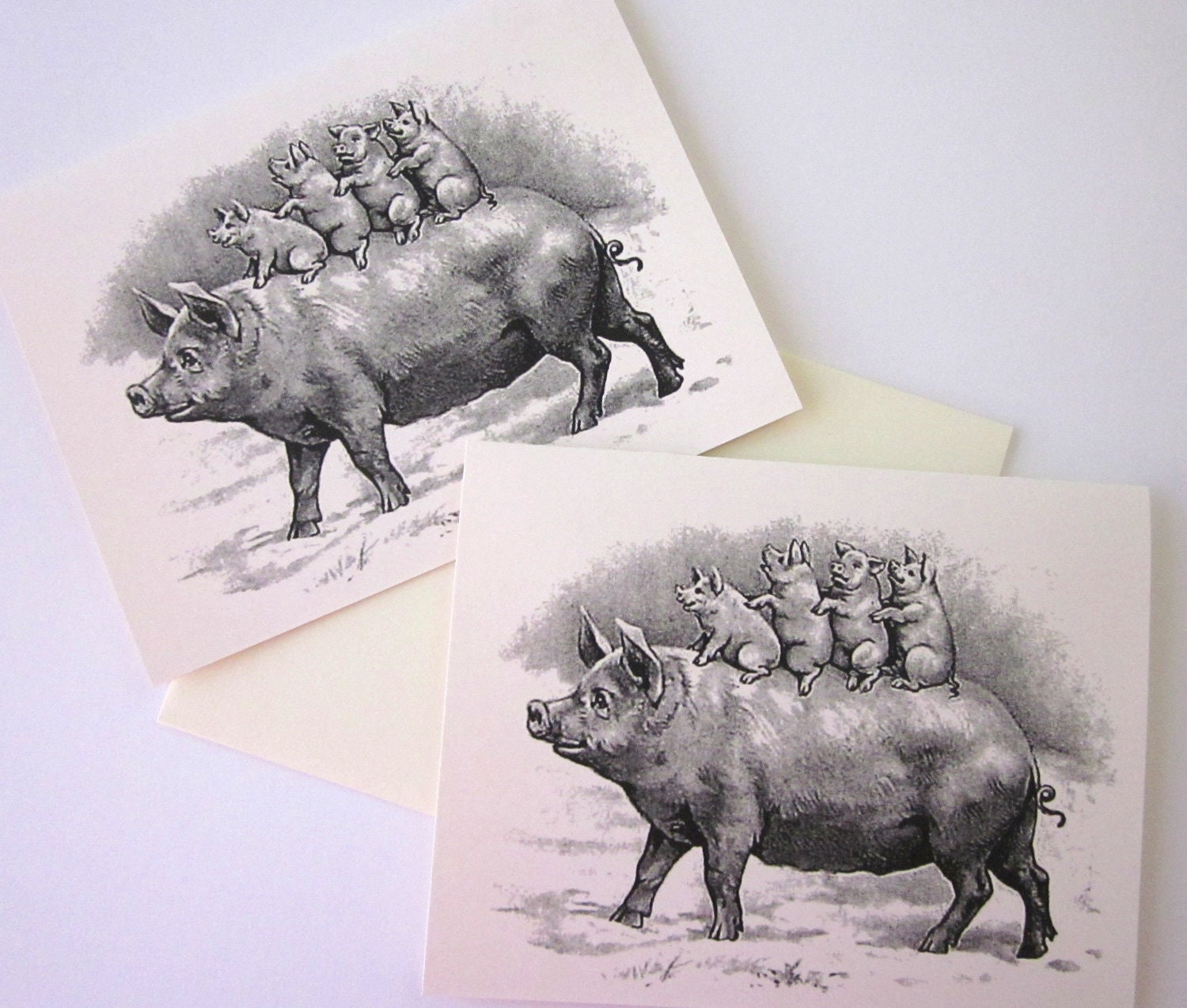 Pig and Piglets Note Card Set of 10 in White or Light Ivory - Etsy