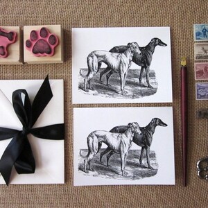 Greyhound Dog Note Cards Set of 10 With Matching Envelopes - Etsy