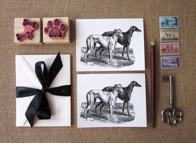 Greyhound Dog Note Cards Set of 10 With Matching Envelopes - Etsy