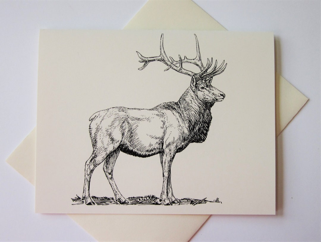 Elk Deer Note Cards Set of 10 With Matching Envelopes - Etsy
