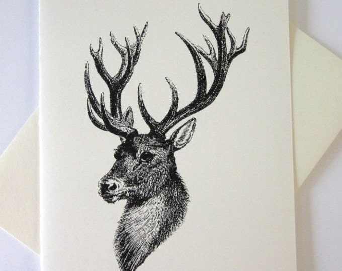 Baby Deer Fawn Note Cards Stationery Set of 10 Cards in White - Etsy