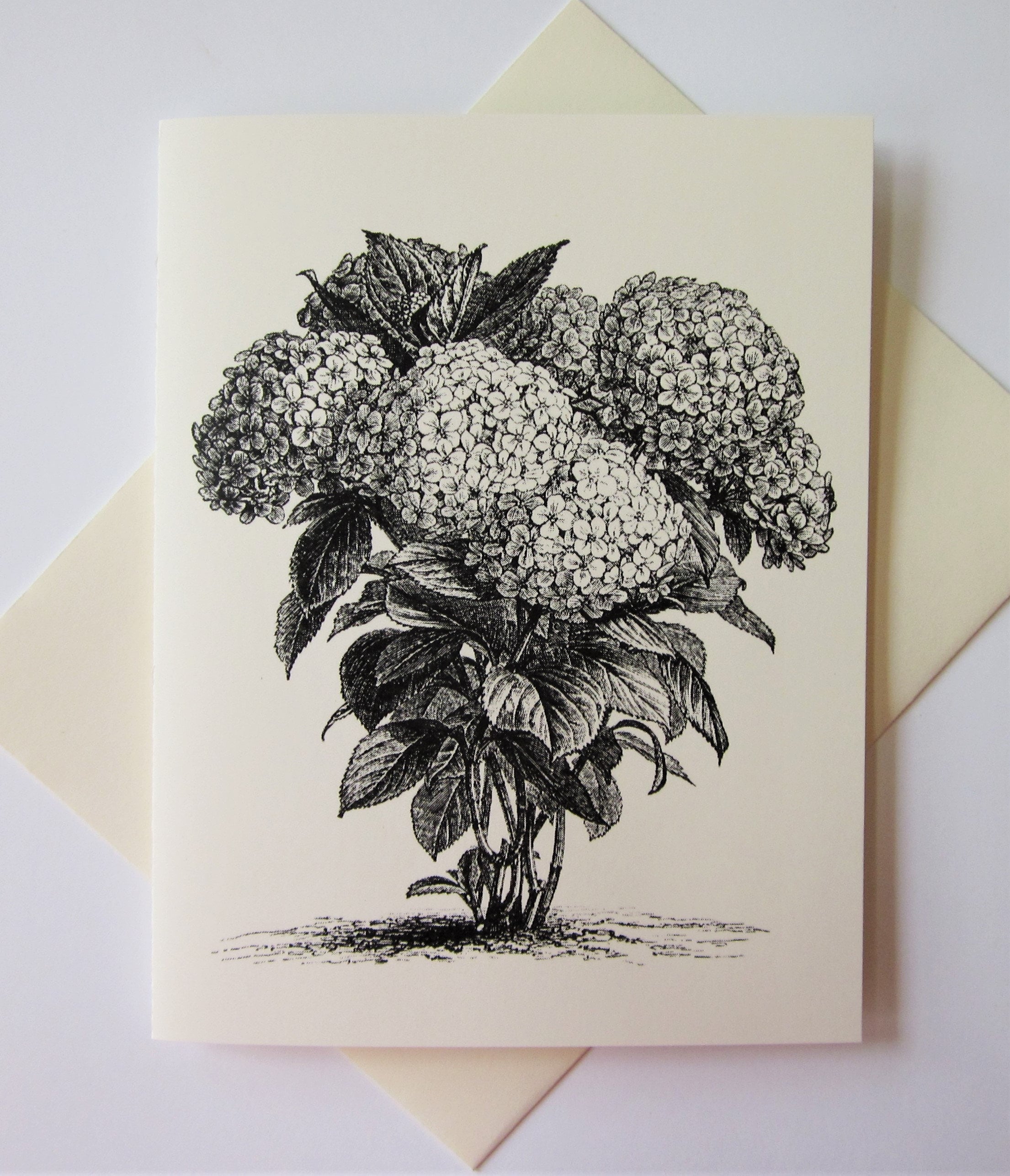 Hydrangea Flower Note Cards Set of 10 with Matching Envelopes | Etsy
