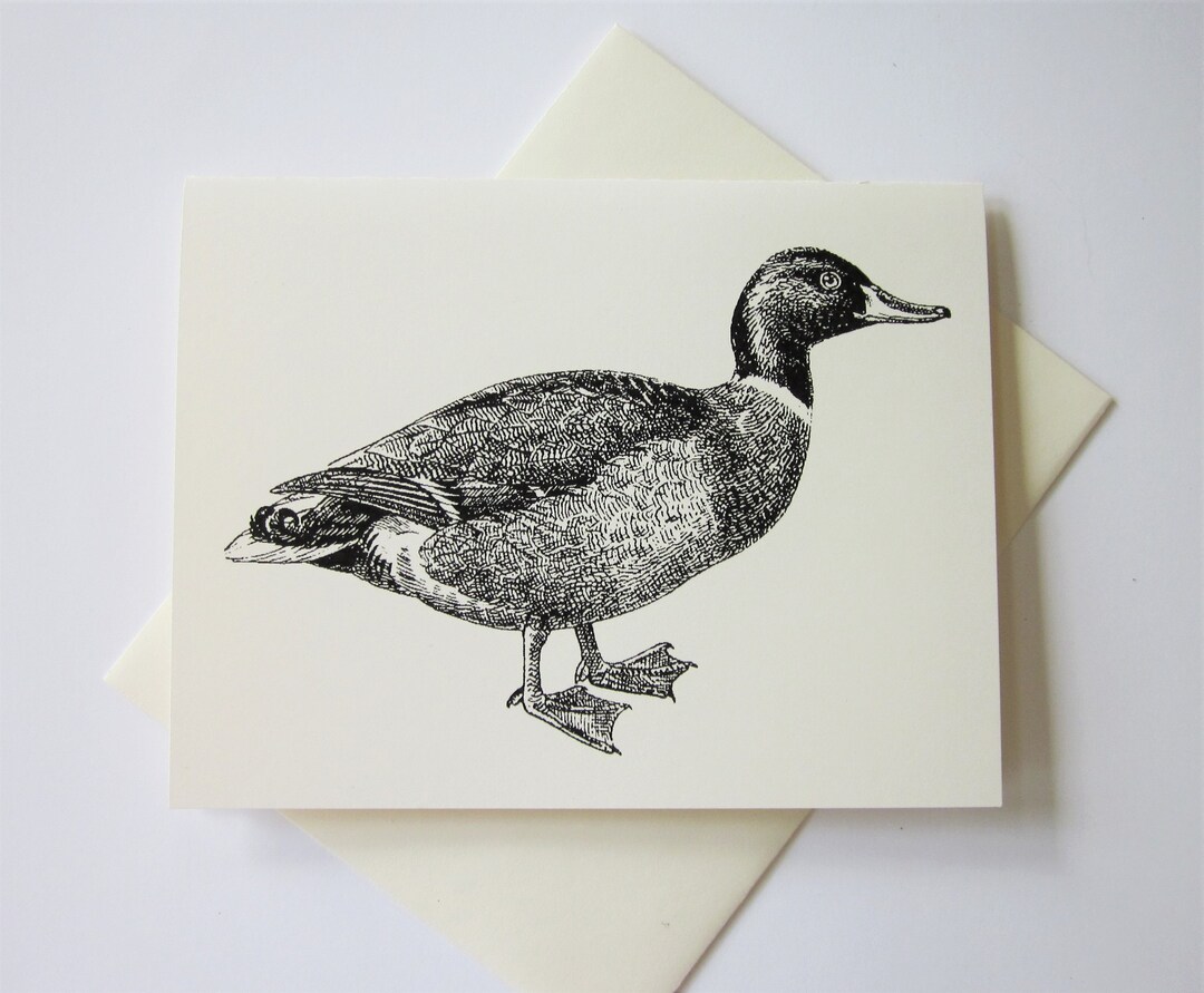Mallard Duck Note Cards Stationery Set of 10 Cards in White or Light ...