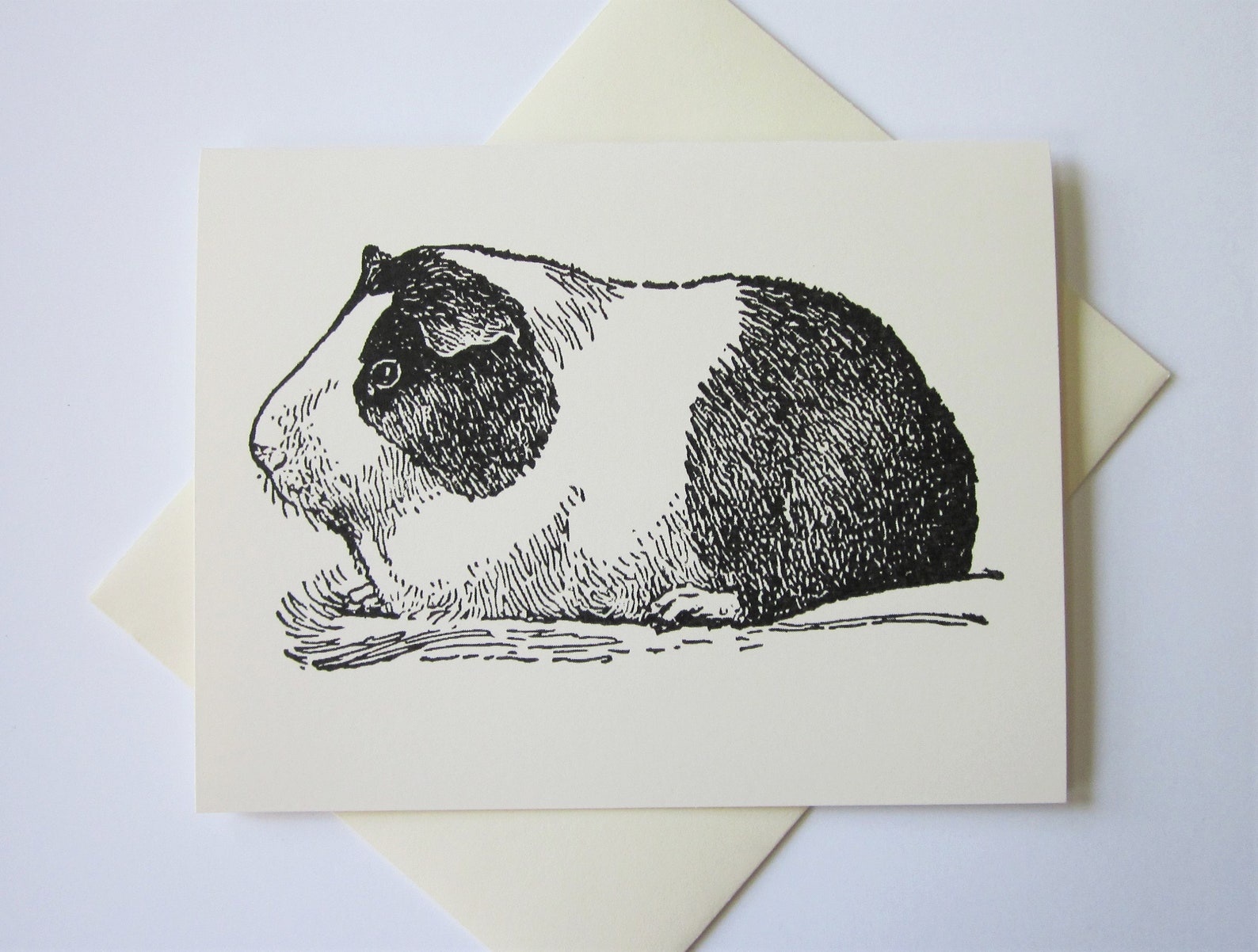 Guinea Pig Note Cards Stationery Set of 10 Cards in White or - Etsy