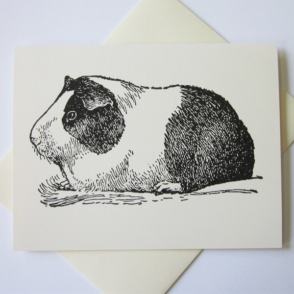 Guinea Pig Note Cards - Etsy