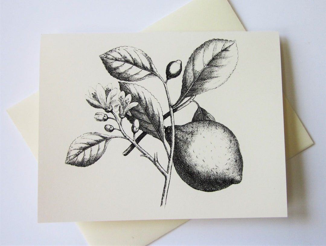 Lemon Note Cards Set of 10 With Matching Envelopes - Etsy