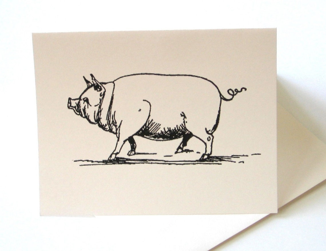 Pig Note Cards Stationery Set of 10 Cards in White or Light | Etsy