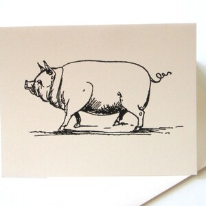Pig Note Cards Stationery Set of 10 Cards in White or Light Ivory With ...