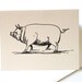 Pig Note Cards Stationery Set of 10 Cards in White or Light Ivory With ...