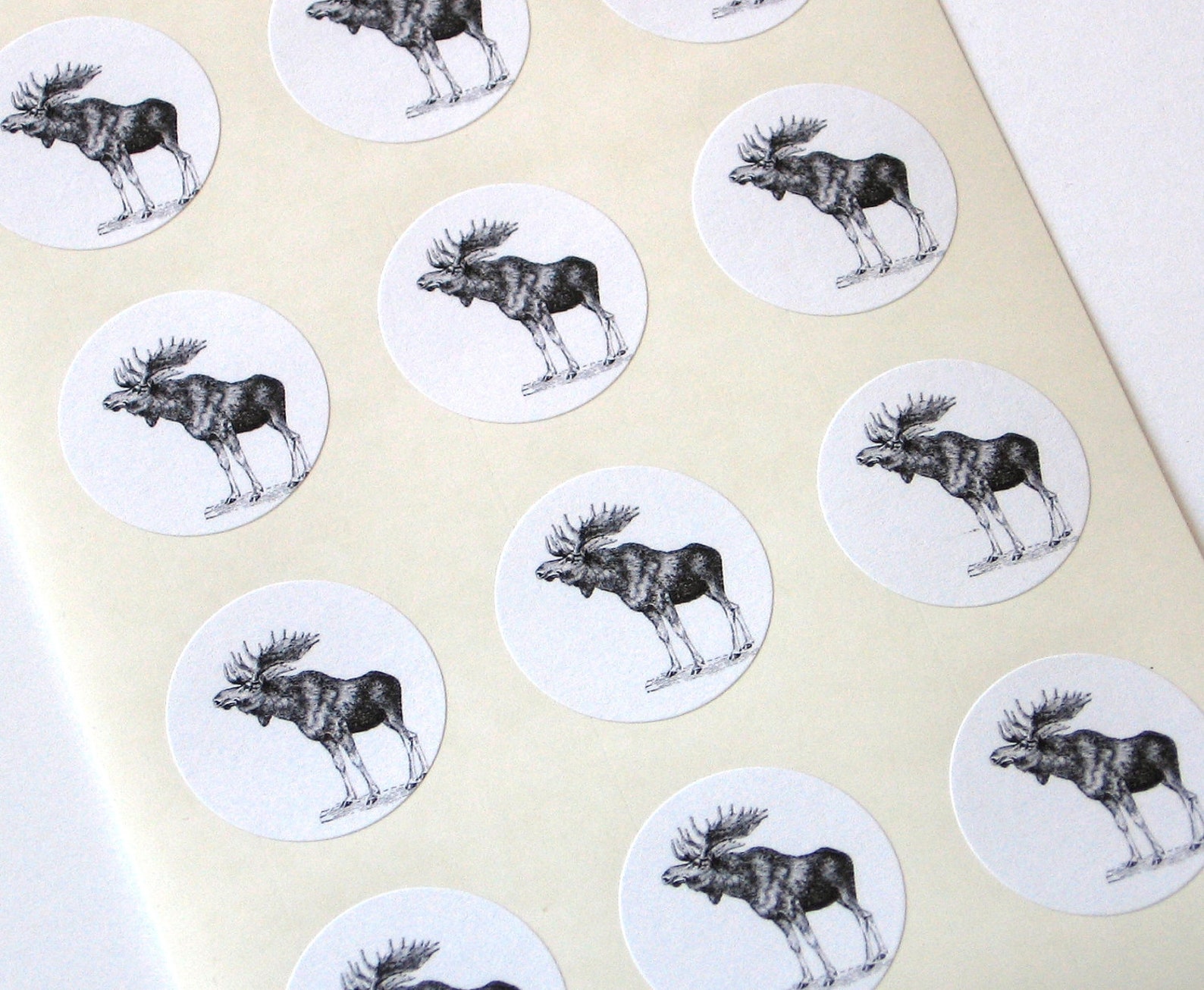 Moose Note Cards Stationery Set of 10 Cards with Matching | Etsy