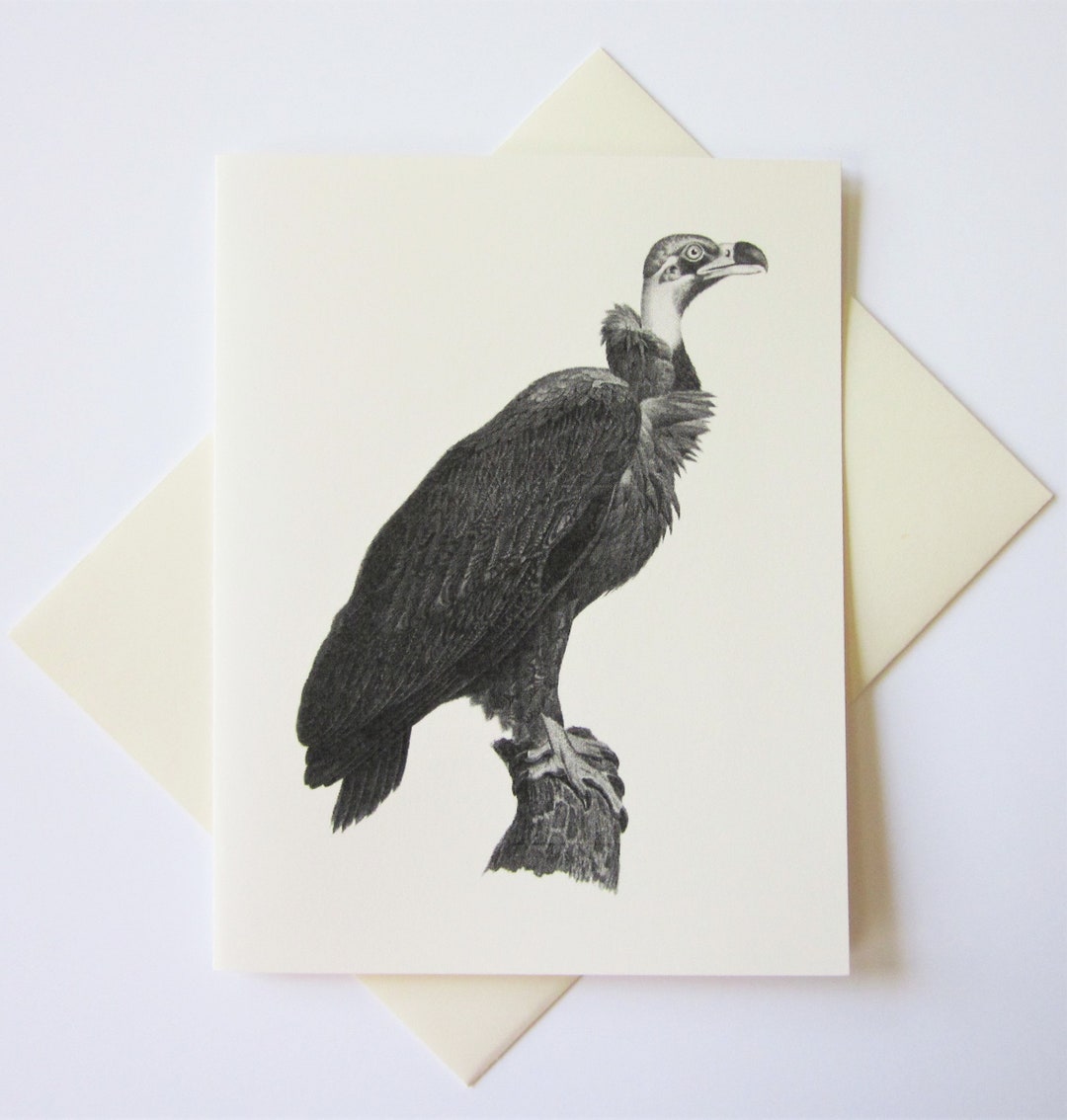 Vulture Note Cards Set of 10 With Matching Envelopes - Etsy