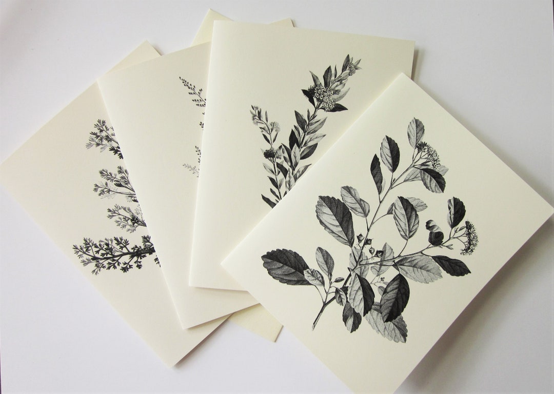 Botanical Branch Note Cards Set of 12 With Matching Envelopes - Etsy