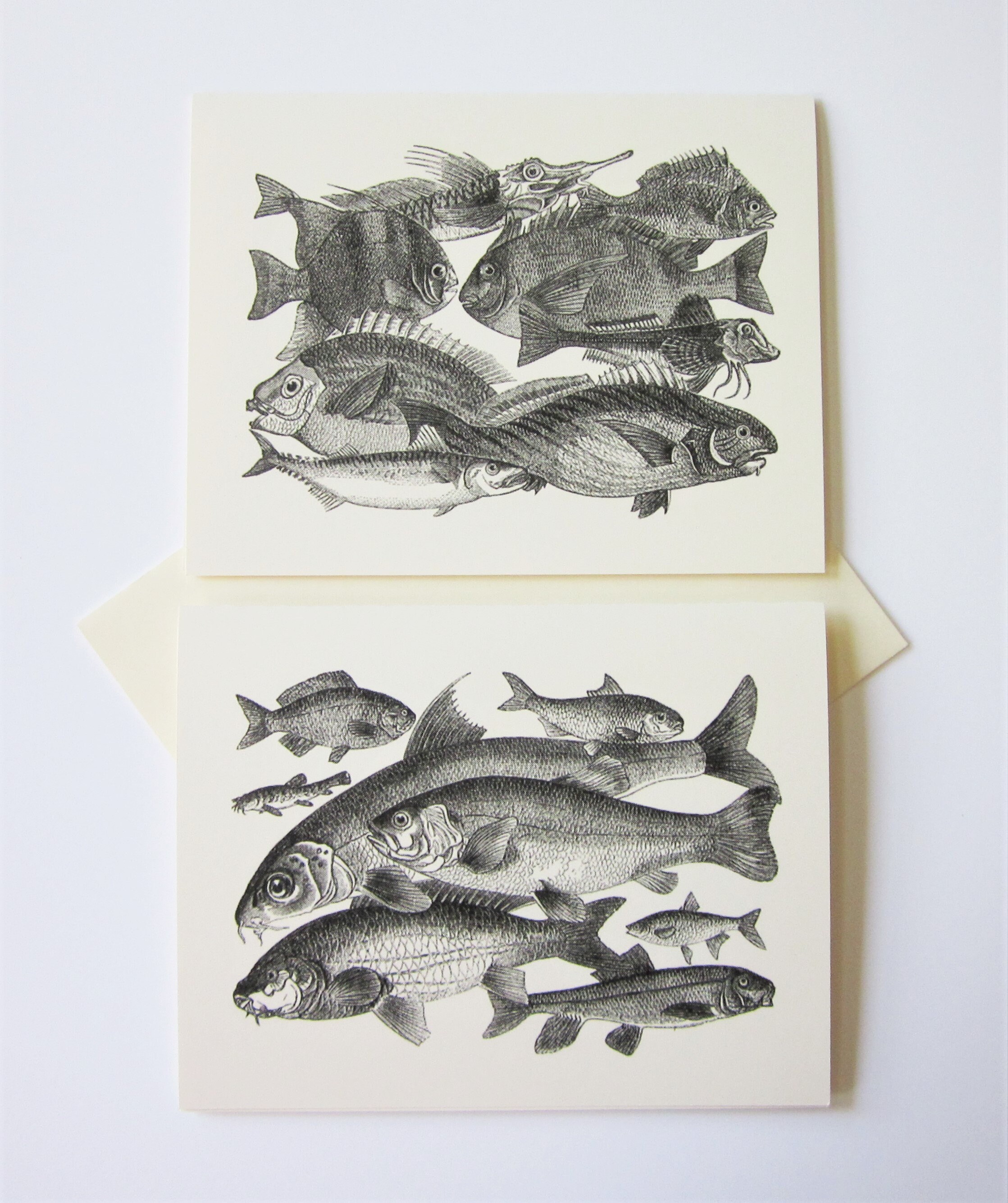 Fish Note Cards Set of 12 with Matching Envelopes | Etsy