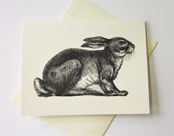 Rabbit Note Cards Stationery Set of 10 Cards in White or Light | Etsy