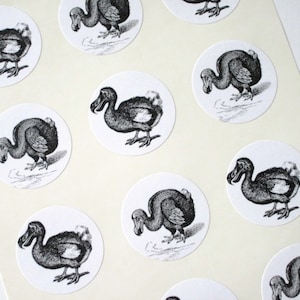 Dodo Bird Stickers One Inch Round Seals - Etsy