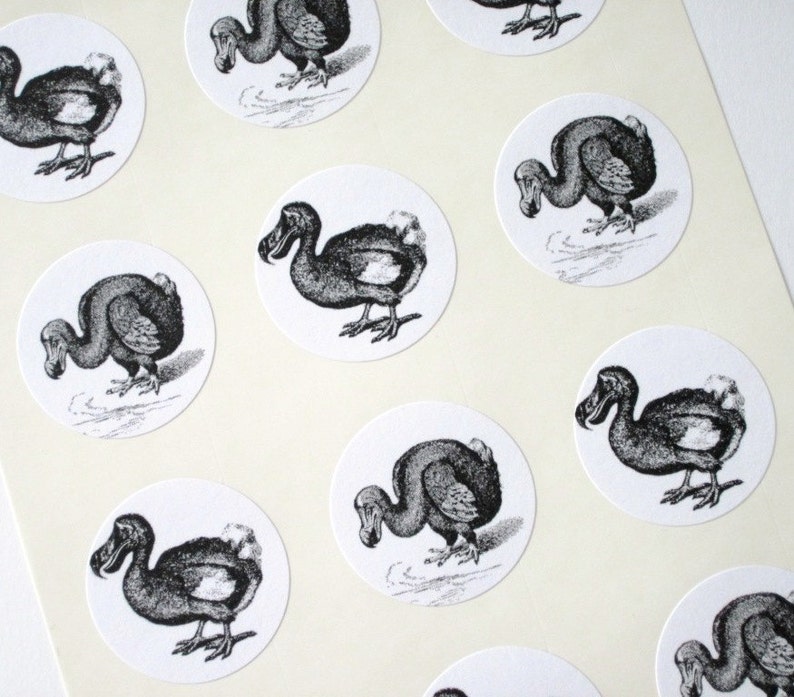 Dodo Bird Stickers One Inch Round Seals - Etsy