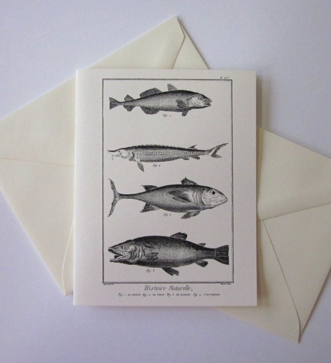 Fish Note Cards Stationery Set of 10 Cards in White or Light | Etsy