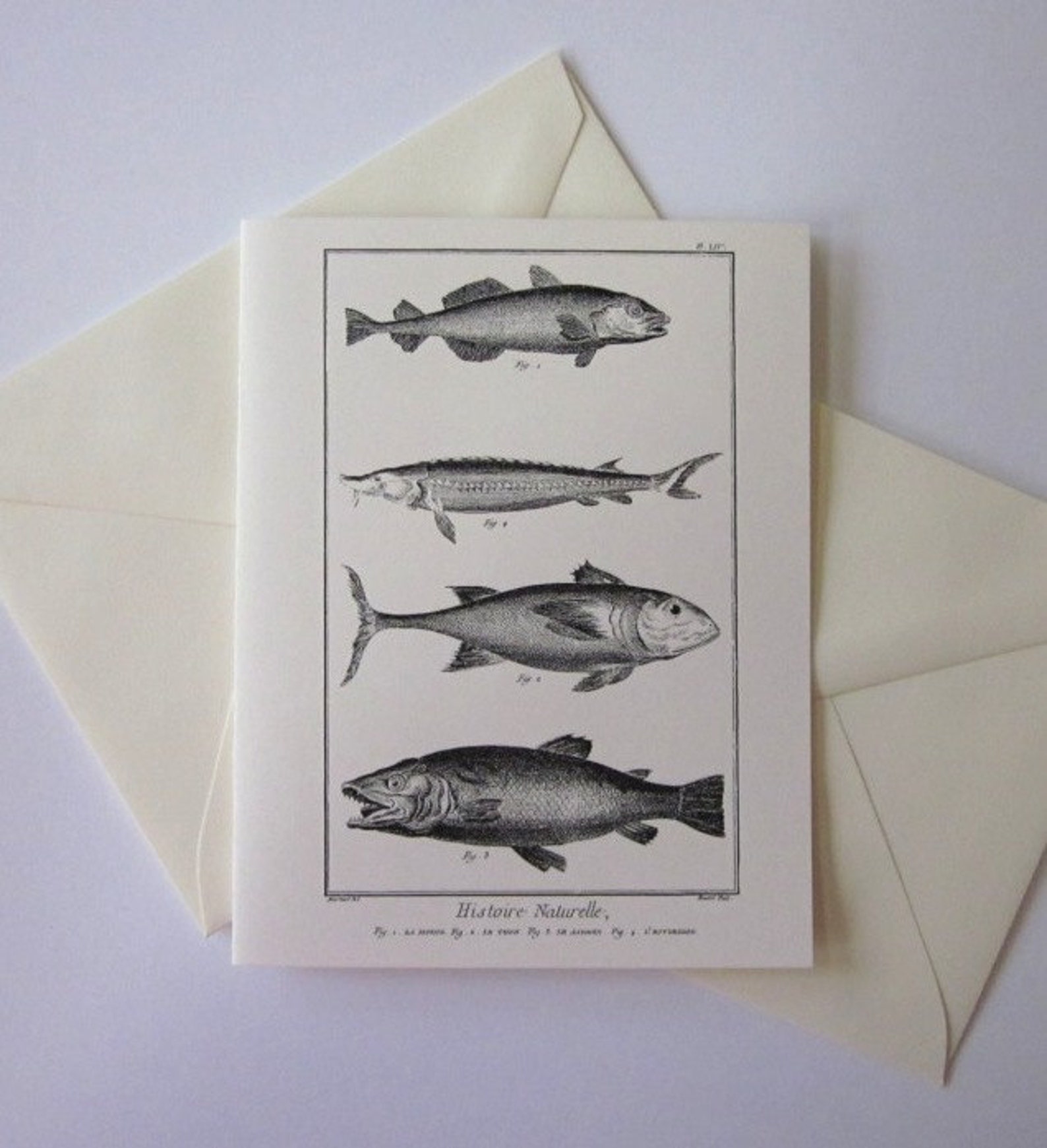 Fish Note Cards Stationery Set of 10 Cards in White or Light | Etsy